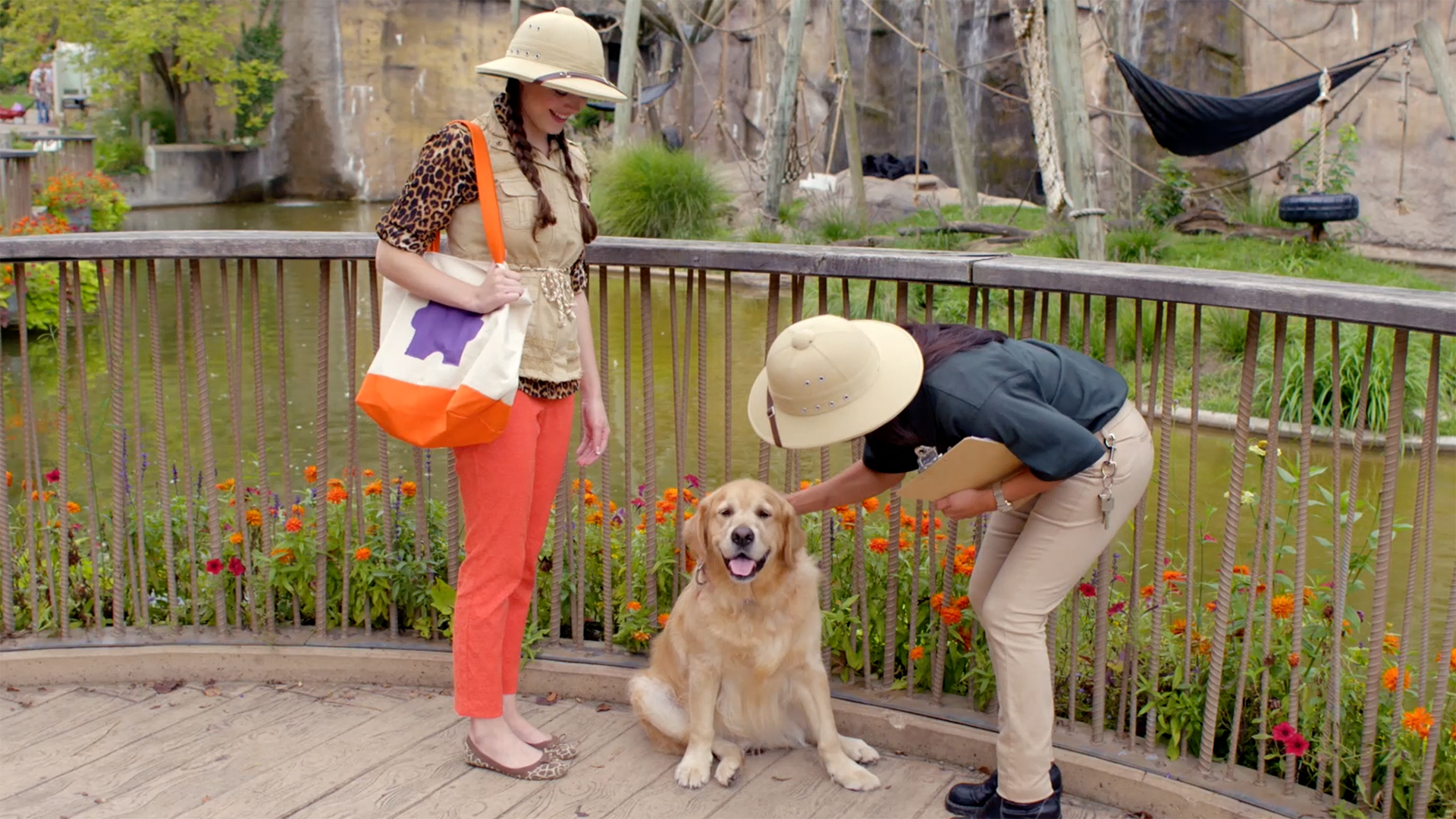 Zoo Tales