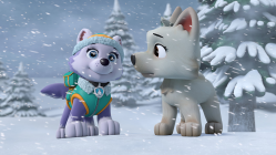 Pups Save a White Wolf - Episode 619A