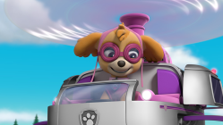 Pups Save a Roo - Episode 620B